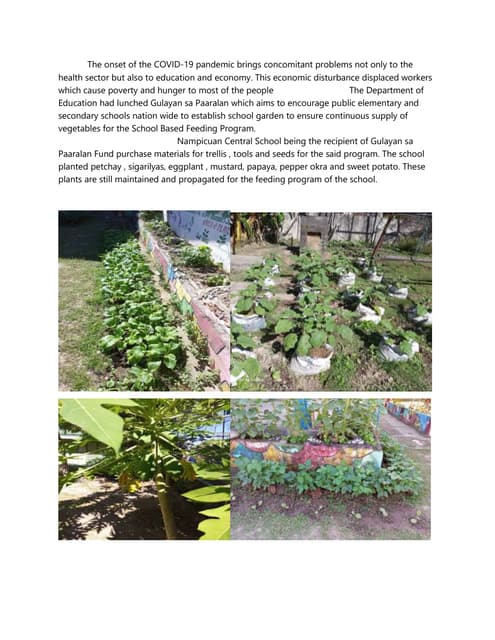 Gulayaan sa Paaralan Project [GPP] - Project Proposal for FY 2014 | PDF