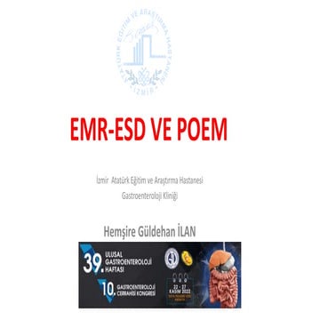 GÜLDEHAN İLAN ESD EMR POEM.pptx