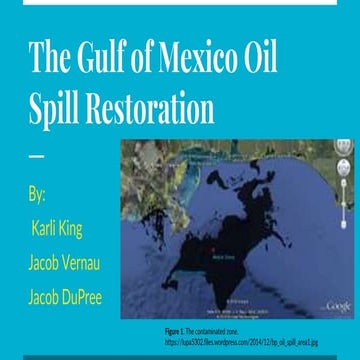 Gulf oil spill | PPT