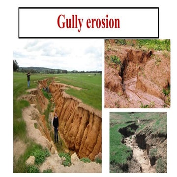Gully classification and its contol measures | PDF