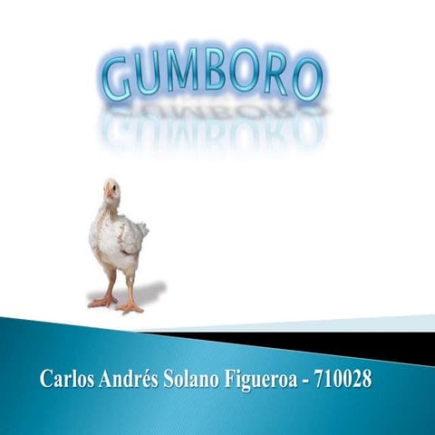 Gumboro | PPTX | Infectious Diseases | Diseases and Conditions