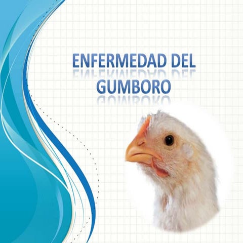 Gumboro | PPTX