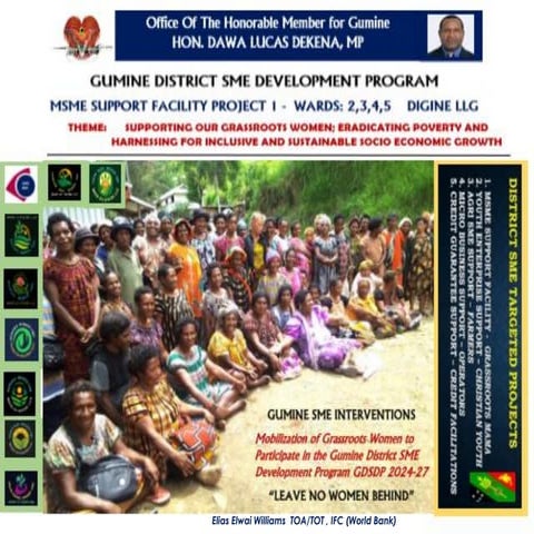 Gumine District SME Development Program DIGINE.pdf
