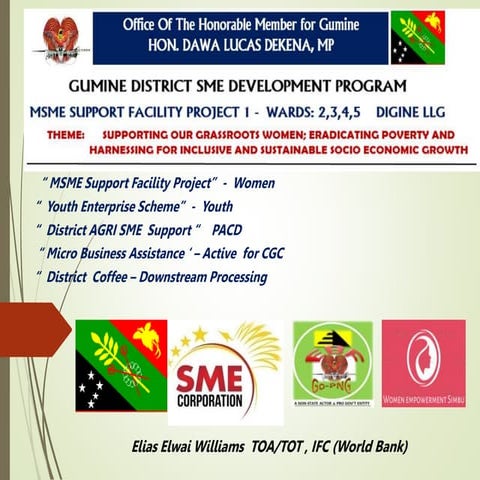Gumine District SME Development Program DIGINE.pdf