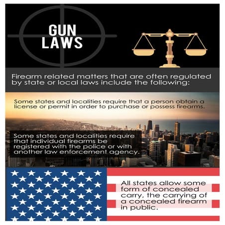 Gun Transfer Laws | PDF