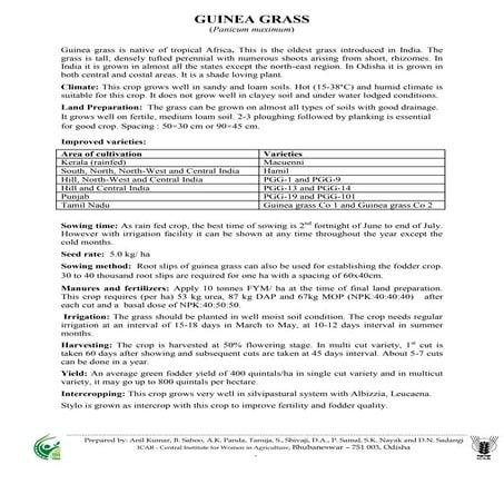 Production technology for Gunea grass.pdf