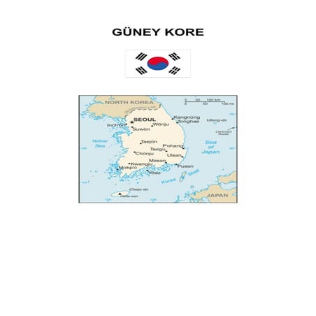 Guney Kore - Dis Ticaret Ulke Raporu - T.C. Ekonomi Bakanligi | PDF