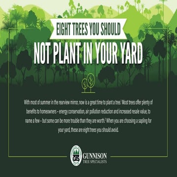 8 Trees You Should Not Plant in Your Yard | PDF