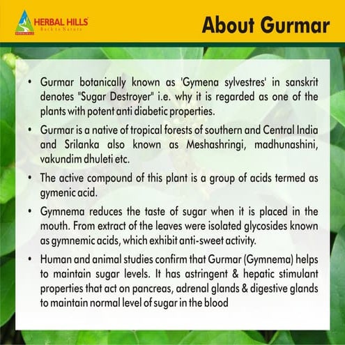 Gurmar A Natural Ways To Lower Blood Sugar Levels | PPT