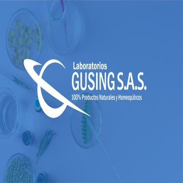GUSING diapositivas universidad Wiener 2024 | PDF
