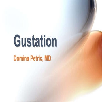 Gustation | PPSX