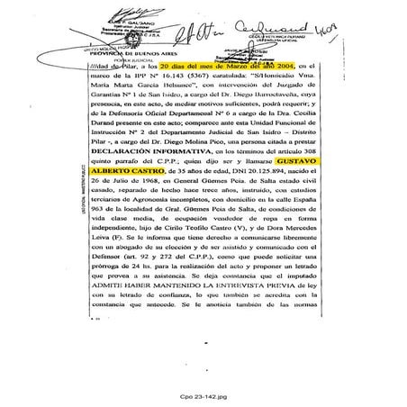 Gustavo alberto castro | PDF