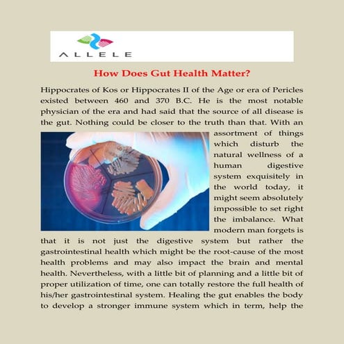 Gut Health Company | PDF