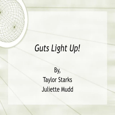 Guts Light Up! | PPT