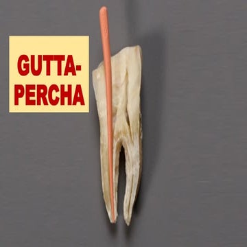 Gutta percha | PDF