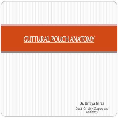 Guttural pouch anatomy | PPTX