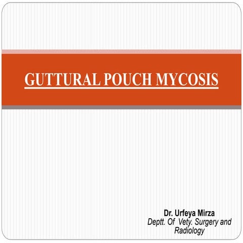 Guttural pouch mycosis | PPTX