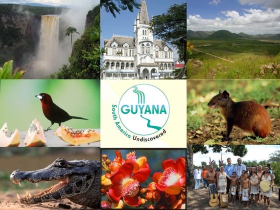 Guyana | PPT