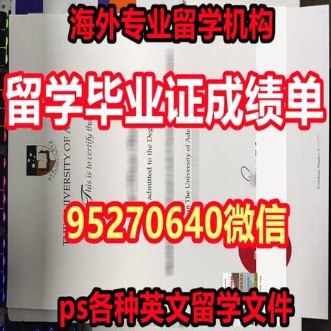 WPI成绩单 | PPT