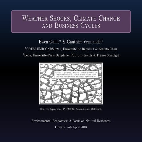 Weather Shocks, Climate Change and Business Cycles | PDF | Weather ...