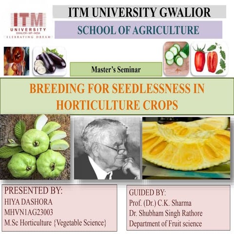 Breeding for seedlessness in horticulture crops.pptx