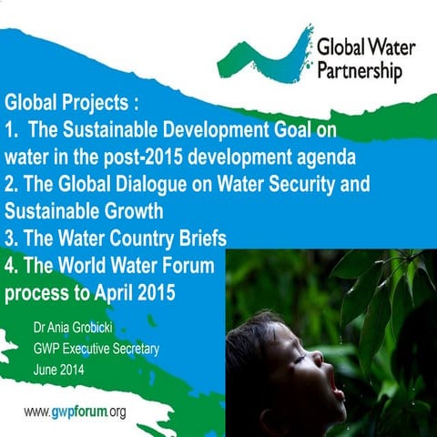 GWP Global Projects | PPT