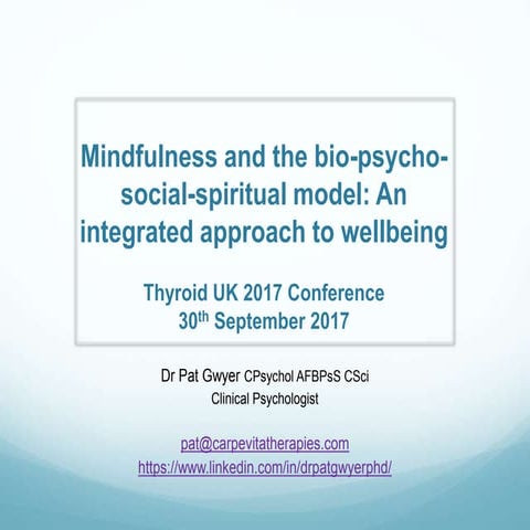 Mindfulness and the bio-psycho-social-spiritual model: An integrated ...