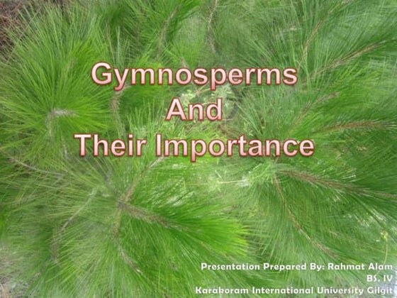Gymnosperms & angiosperms | PPTX | Gardening | Home & Garden