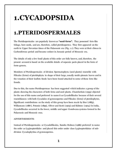 Sphenophyta | PPT