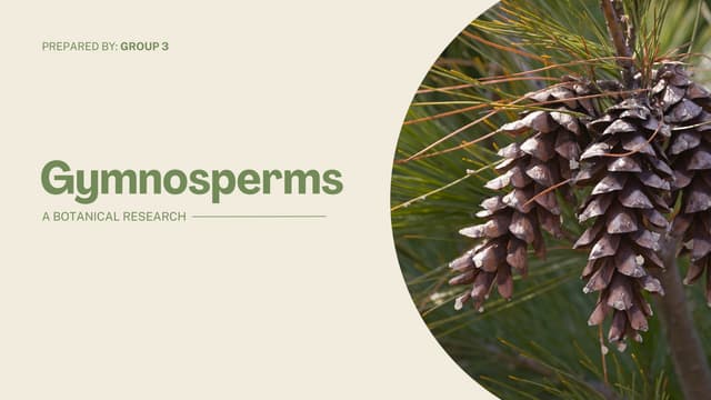 Classification of gymnosperms | PPTX