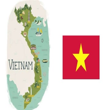 Gym Shark Presentation Pptx