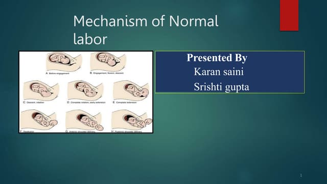 Mechanism of normal labour | PPTX