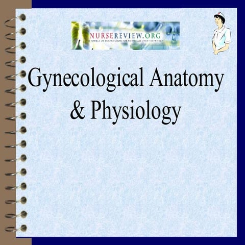 Gynecological Anatomy Physiology Ppt
