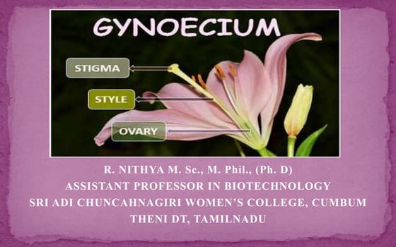Placentation and fruits types.pdf