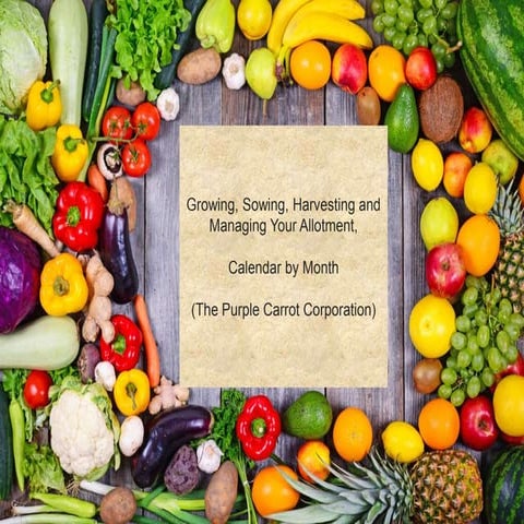 Monthly Allotment Calendar | PPTX