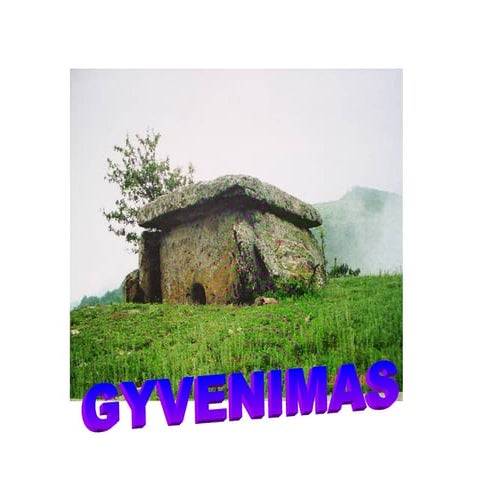 Gyvenimas l | PPS