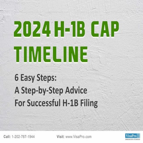 6 Easy Steps For Successful H1 Visa 2024 Filing | PDF