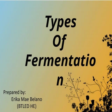Types of Fermentation Types of Fermentat | PPTX
