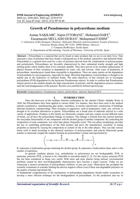 IR Spectrum of Polyethylene Terephthalate (PET)
