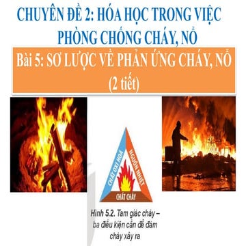 H10CD-KNTT-BAI-5-SO-LUOC-VE-PHAN-UNG-CHAY-NO.pptx