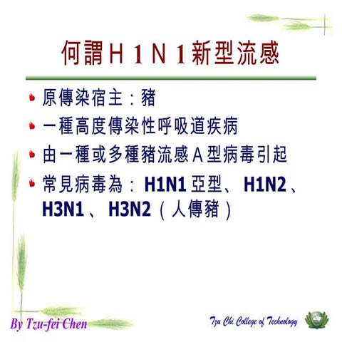 H1 N1 | PPT