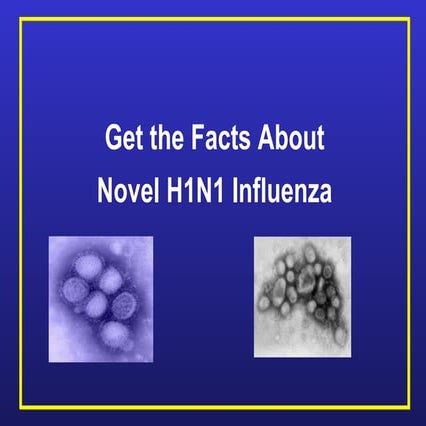 Get the Facts About Novel H1N1 Influenza | PPT