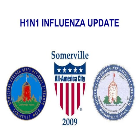 H1 N1 Information Sheet | PDF