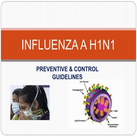 H1N1_Ppt.ppt