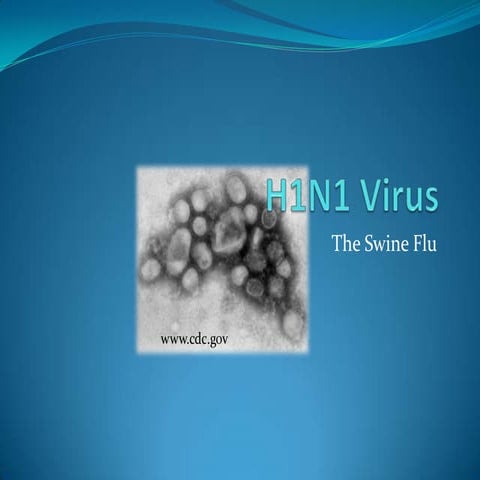 H1 N1 Virus | PPTX