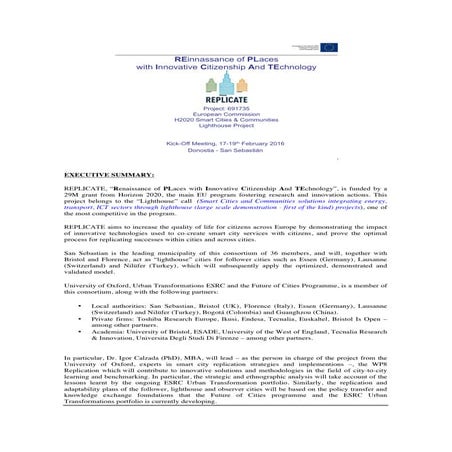 iCity Project Presentation | PDF