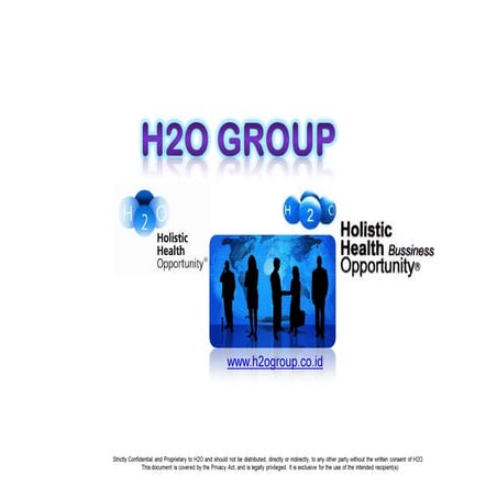 H2O Group Briefing Program 4 Partner | PDF