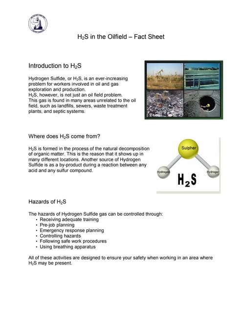 Basic H2S training | PPTX | Lung and Respiratory Health | Diseases and ...