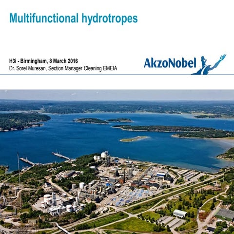 Multifunctional hydrotropes | PDF