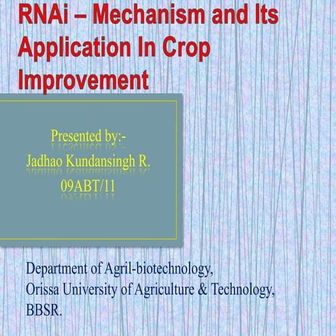 RNAi – Mechanism and Its Application In Crop Improvement | PPTX